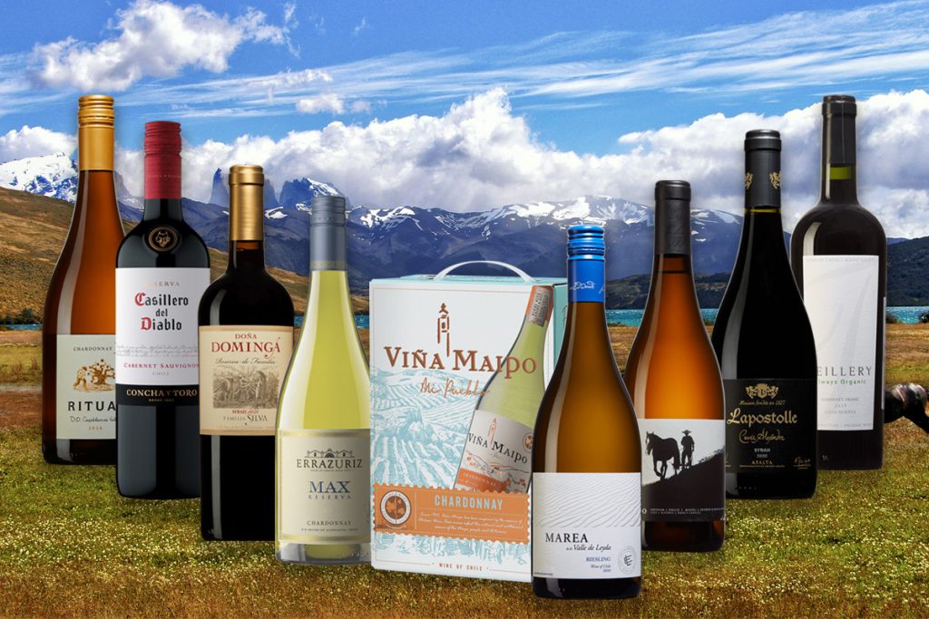 Systembolagets 10 bästa viner från Bourgogne
