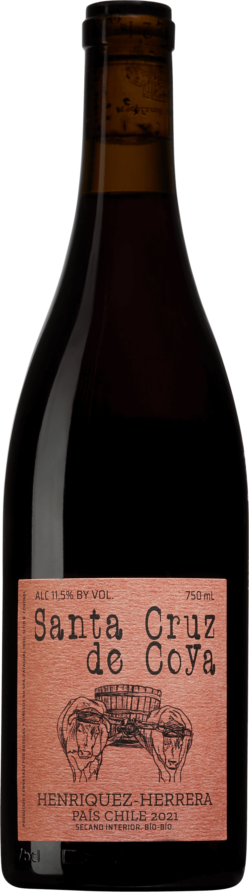 Därför ska vi dricka vin från Chile